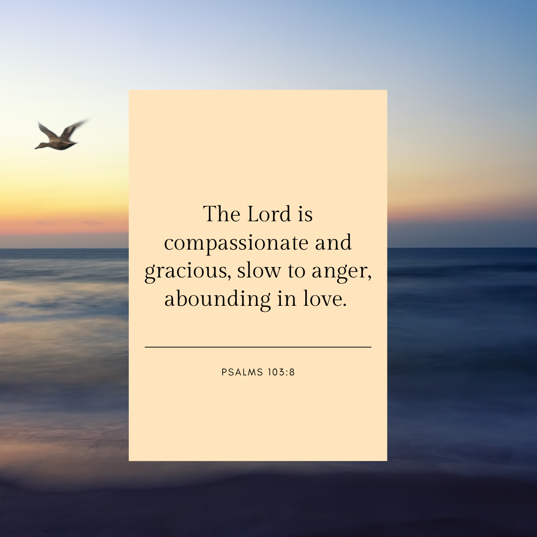 Goodness Gracious | Mercy for the Day