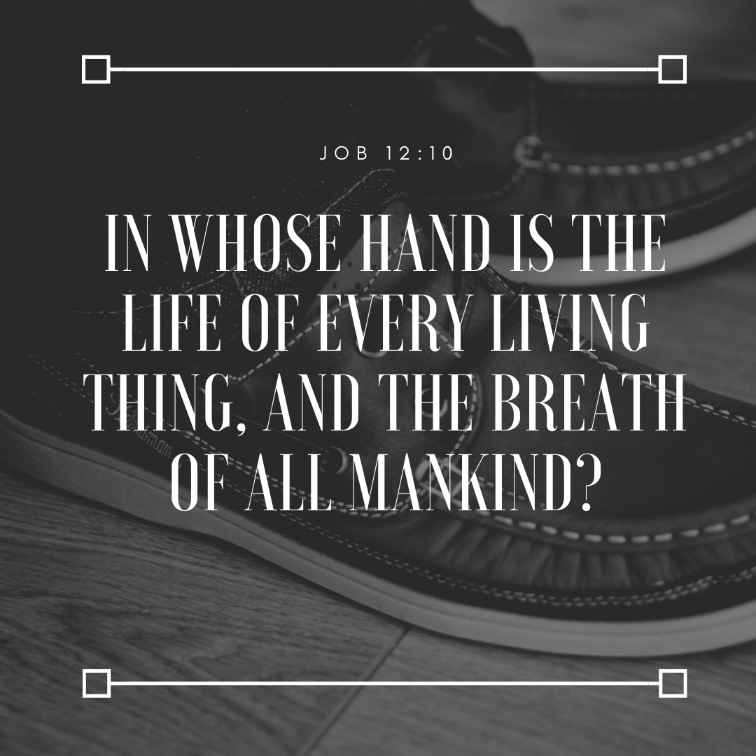 Made to Last | Mercy for the Day