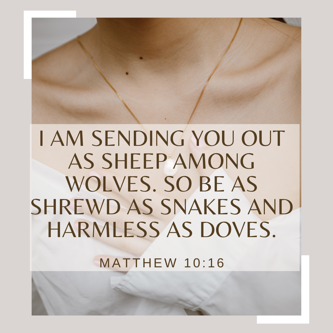 Backbone Needed | Mercy for the Day