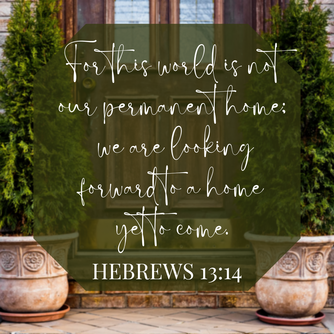 Empty House | Mercy for the Day