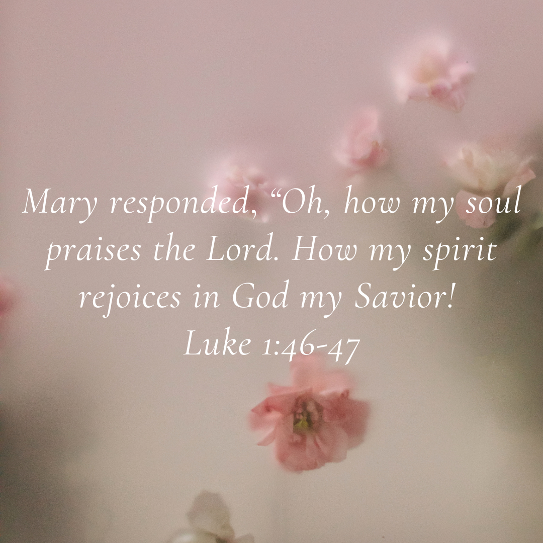 When the Soul Rejoices | Mercy for the Day