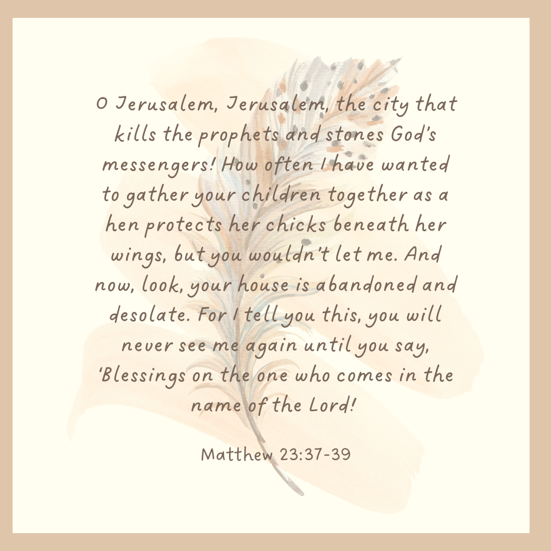 Under His Wings | Mercy for the Day